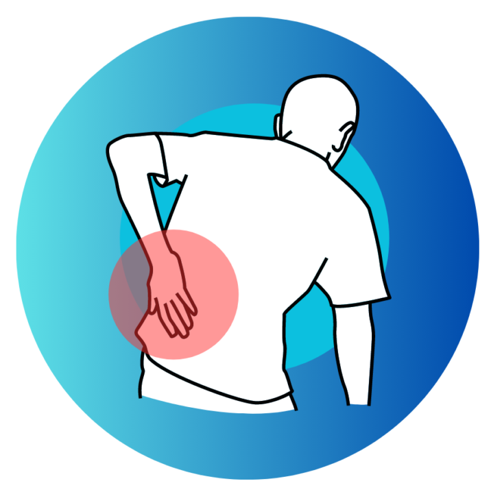 Pain To Performance | Primal Patterns | Best Physiotherapy | Chennai